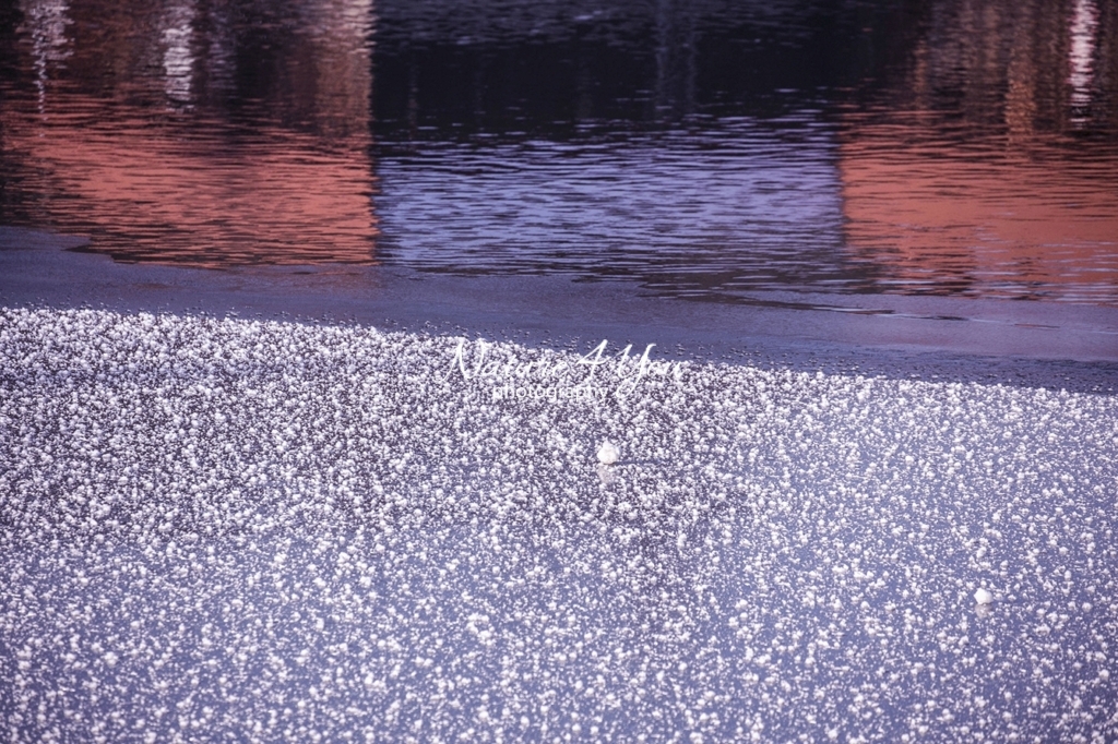 Ice - Diamond Dust Snow | Nature4you - photography